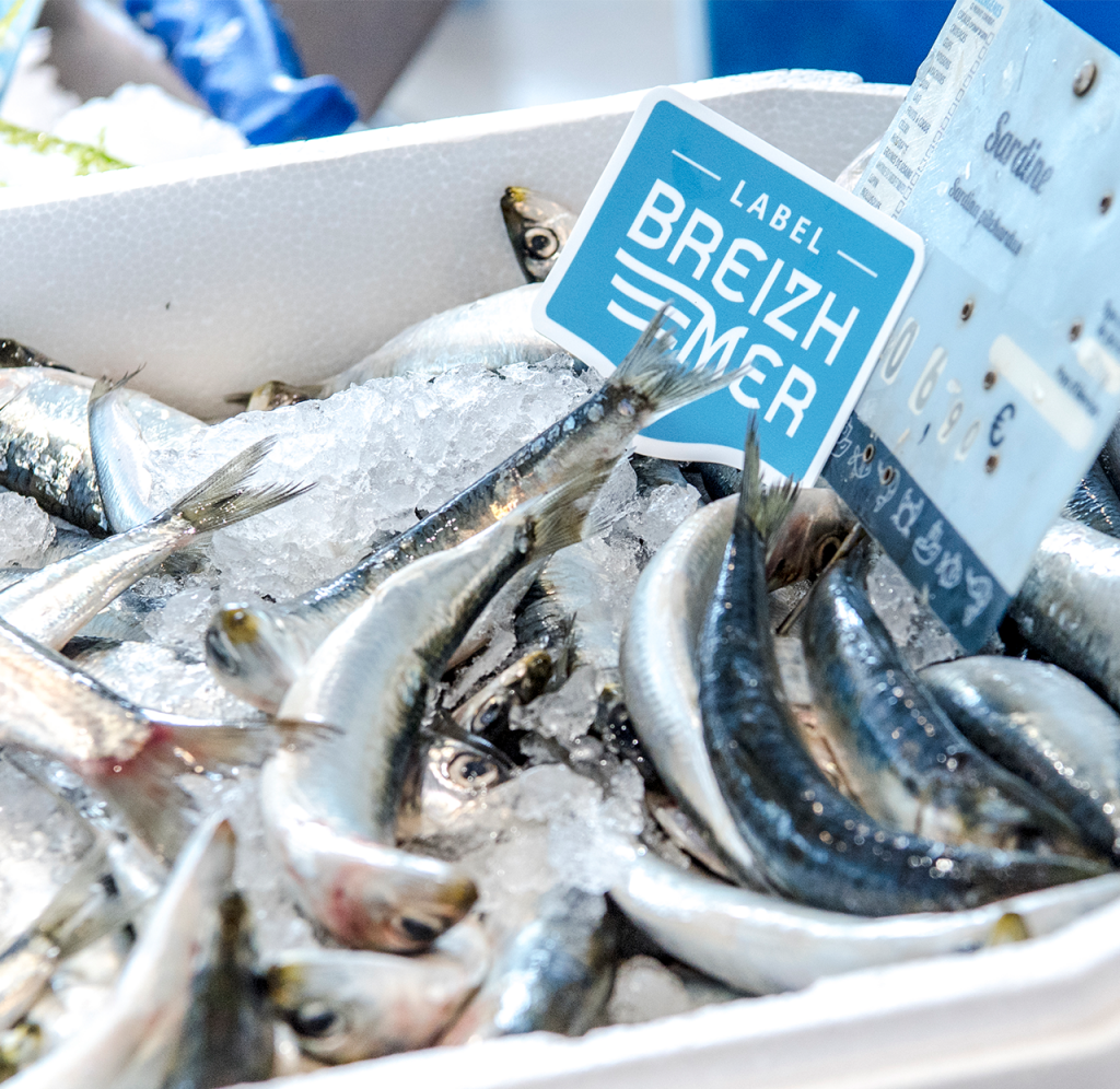 BREIZHMER | Process Blue